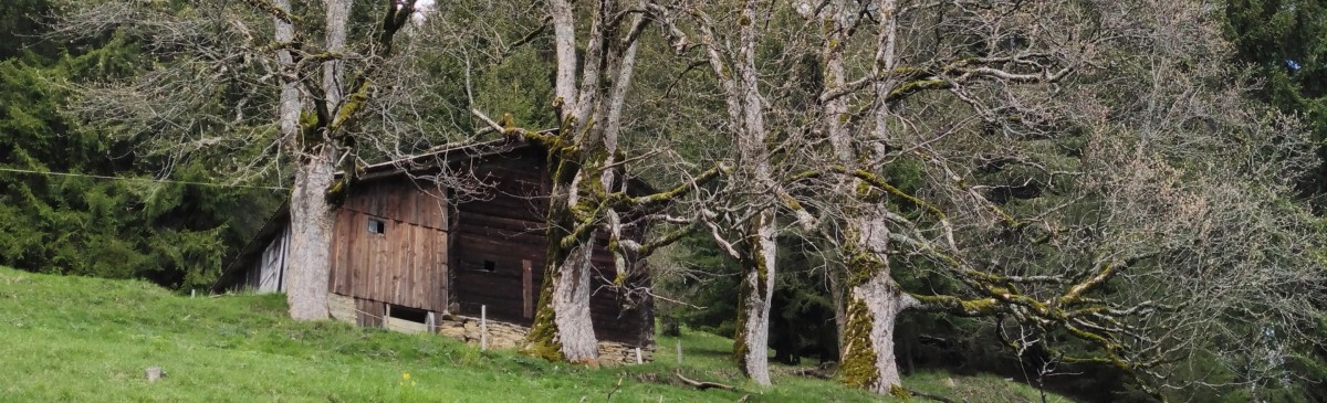 Arbres remarquables - Parc Naturel Regional