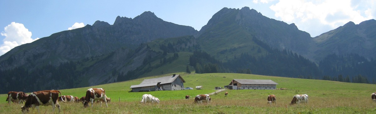 Col des Mosses - La Lécherette - Tageswanderungen - Wandern - Parc ...